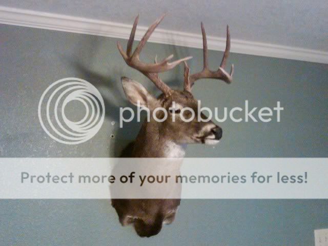 2010 Hardeman County Buck and Taxidermy Review - TexasBowhunter.com ...